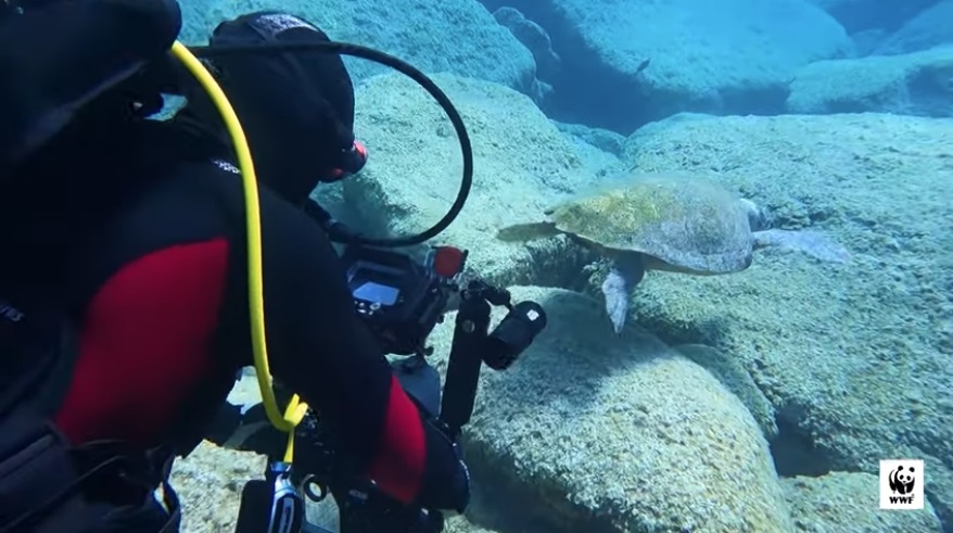 Čisto podmorje uvjet za održivu budućnost Jadranskog mora